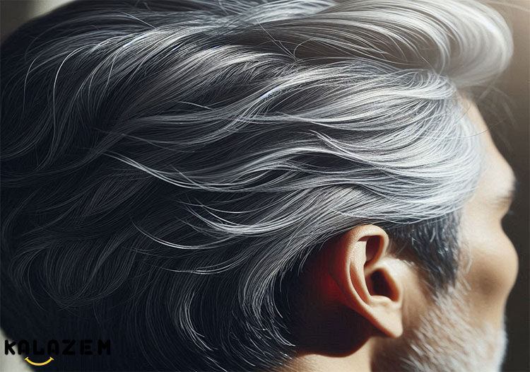 چگونه از شر موی سفید خلاص شویم؟ ترفندهای معکوس کردن روند سفیدشدن موها ...